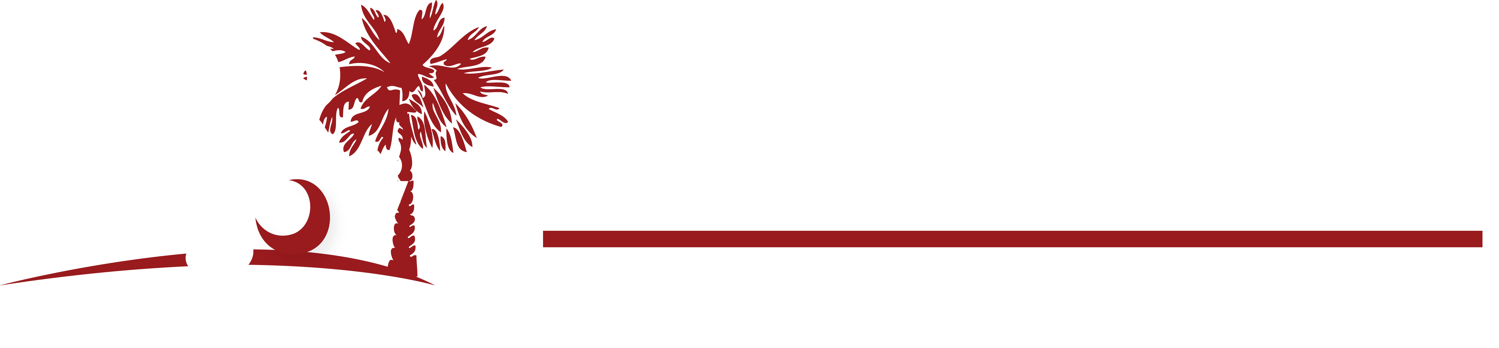 Fire Safe South Carolina Community Risk Reduction Program Fire Safe South Carolina Community Risk Reduction Program